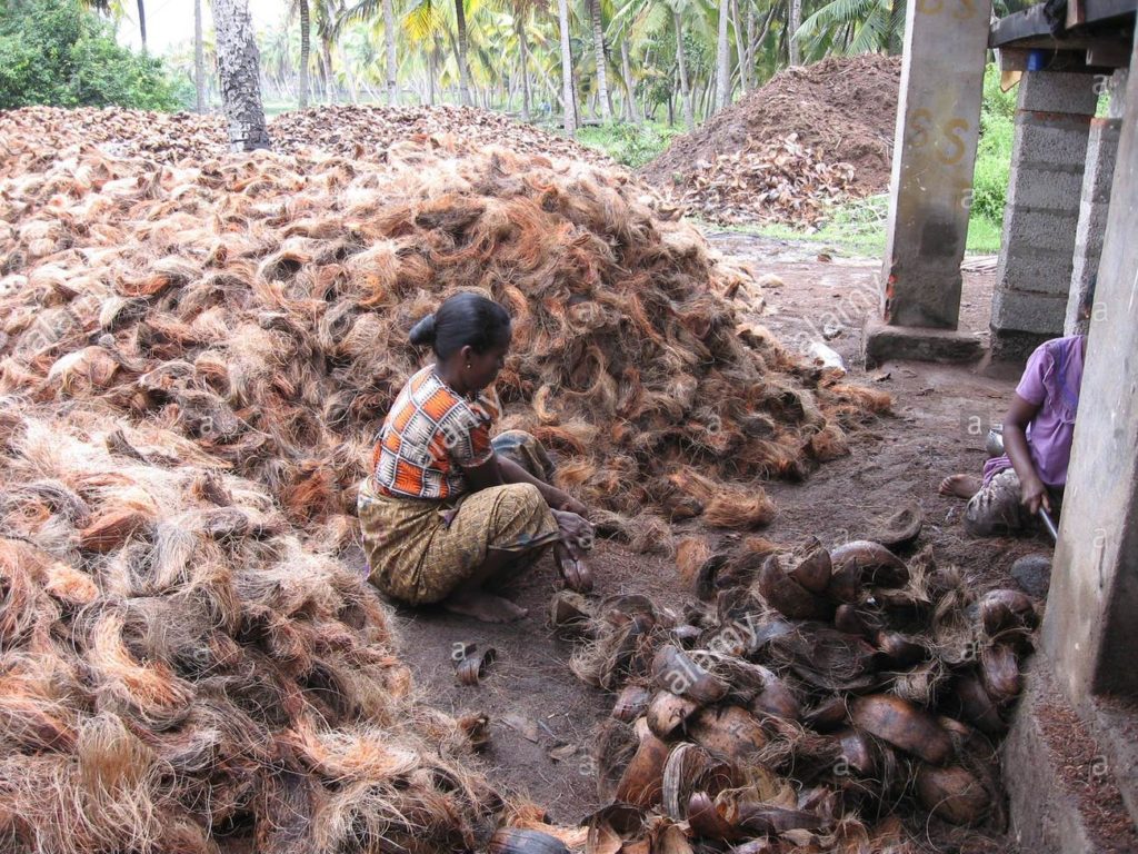 The Art of Coir Rope Making - The Maldives Expert
