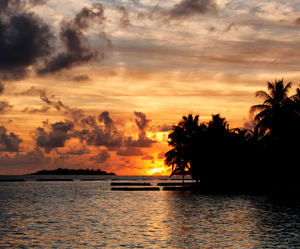 Traveling to the Maldives – A Month-by-Month Guide to the Best Times to ...