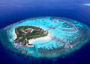 Coral Reefs of the Maldives - The Maldives Expert