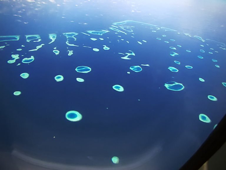 Coral Reefs of the Maldives - The Maldives Expert