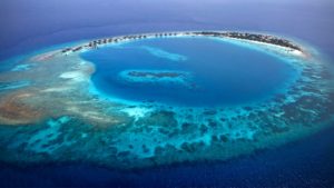 Coral Reefs of the Maldives - The Maldives Expert