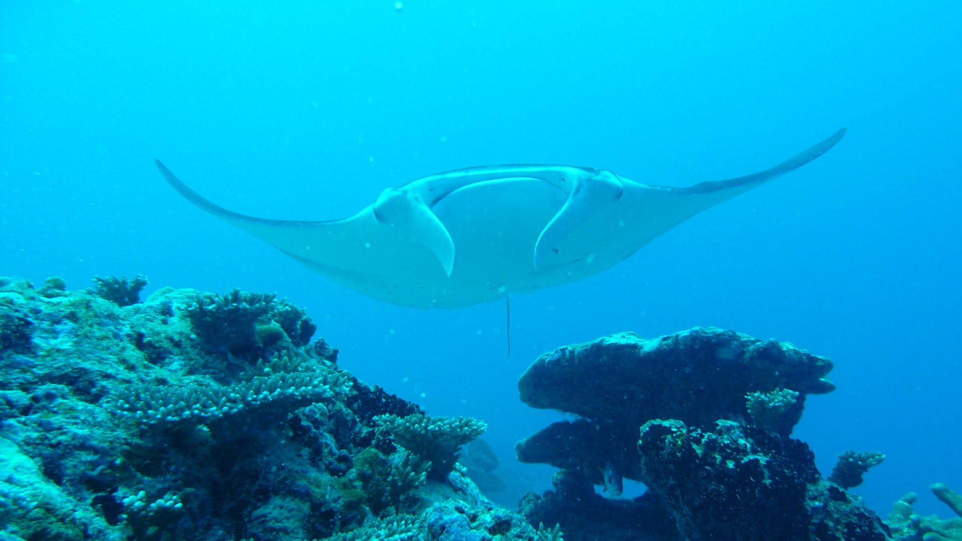 Addu Atoll Islands (Seenu) - The Maldives Expert