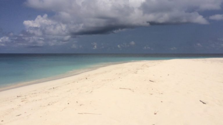 Traveling to the Maldives – A Month-by-Month Guide to the Best Times to ...