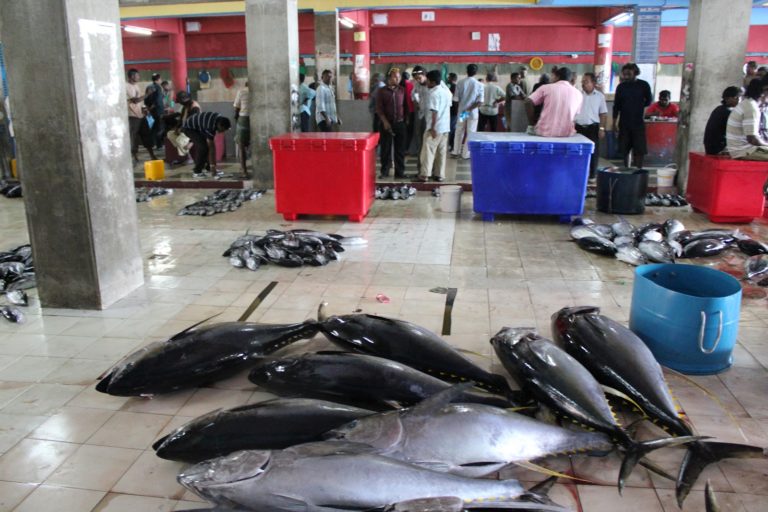 Top Attractions in Malé – The Fish Market - The Maldives Expert