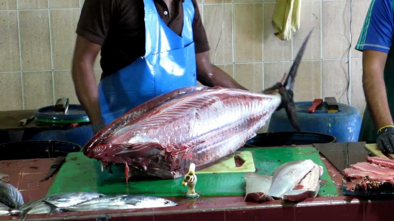 Top Attractions in Malé – The Fish Market - The Maldives Expert