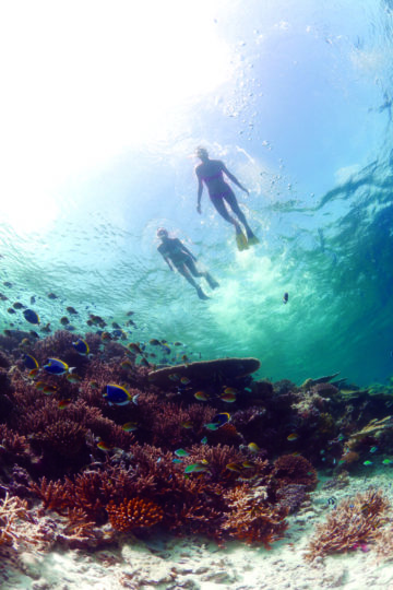 Baa Atoll: UNESCO Biosphere Reserve - The Maldives Expert